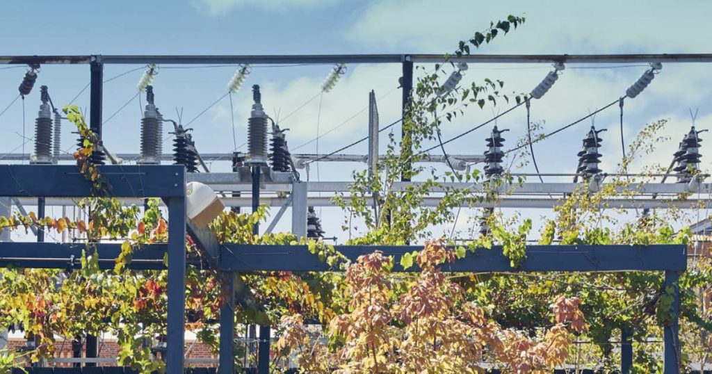 SAPN Reflects On Energy Transition Challenges Ahead