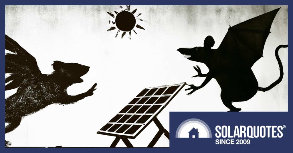 Bird-Proofing Solar Panels: Lessons Learnt From Bitter Experience