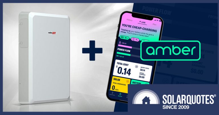 Amber Electric Review: My First Six Months