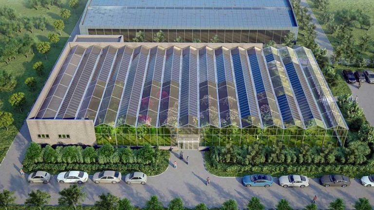 Glued-On GoodWe Galaxy Solar Panels Land In Australia - SolarQuotes Blog