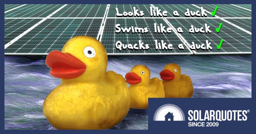 The Duck Test: When Solar Companies Wind Up - SolarQuotes Blog