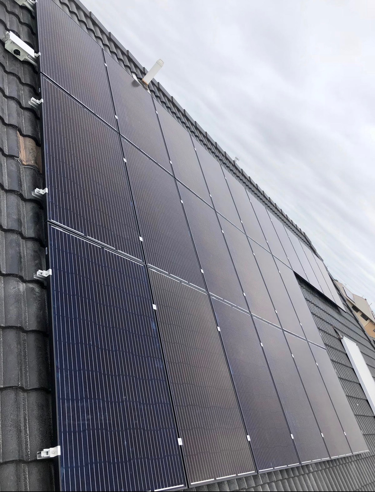 Solar Seed Reviews | 47,128 Solar Installer Reviews | SolarQuotes