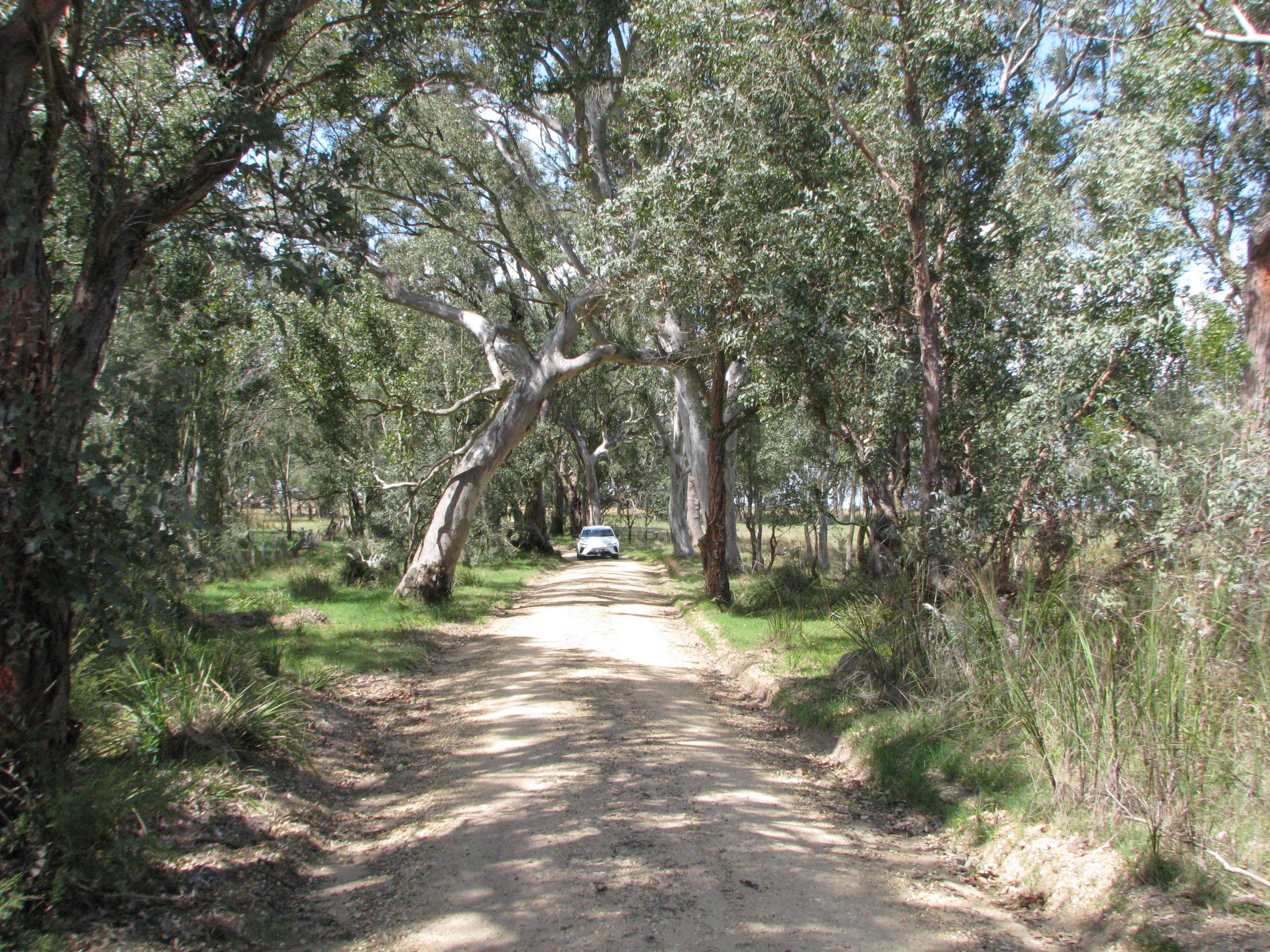 Solar Installers in Crooked River, VIC 3862 | SolarQuotes