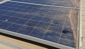 Solar Panel Cleaning: Why, When, and How to Do It Right
