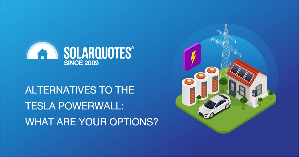 Think Beyond Tesla: The Best Powerwall Alternatives in 2025